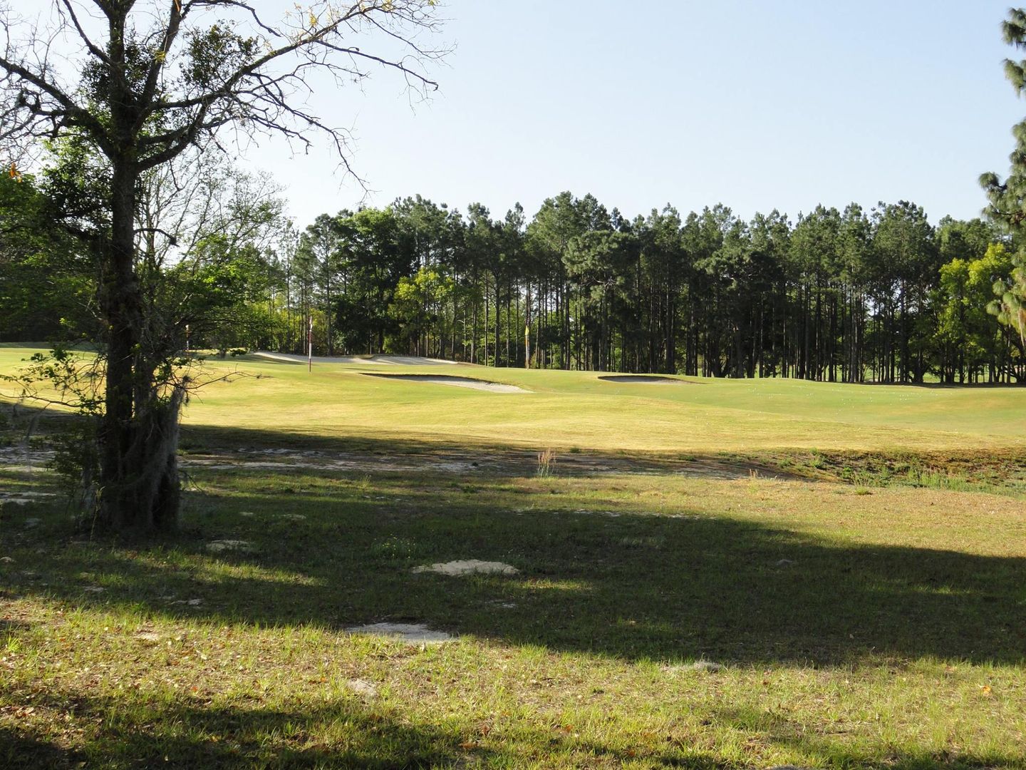 Diamond Dunes at Black Diamond Ranch Golf & Country Club in Lecanto ...