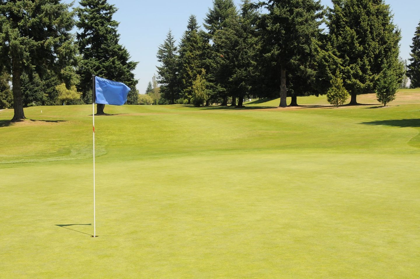 Allenmore Golf Course in Tacoma, Washington, USA | GolfPass