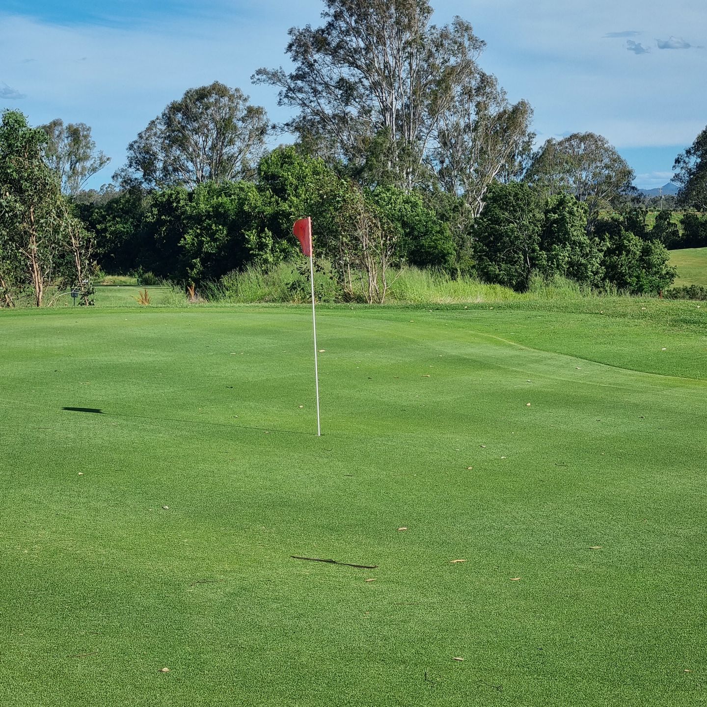 Ipswich Golf Club, Leichardt, QLD - Golf course information and reviews.