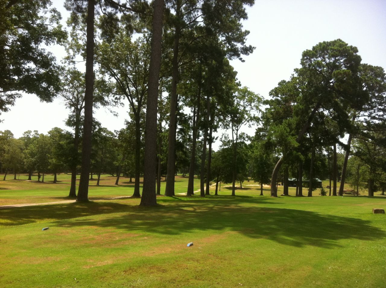 Alexandria Golf & Country Club in Alexandria, Louisiana, USA | GolfPass