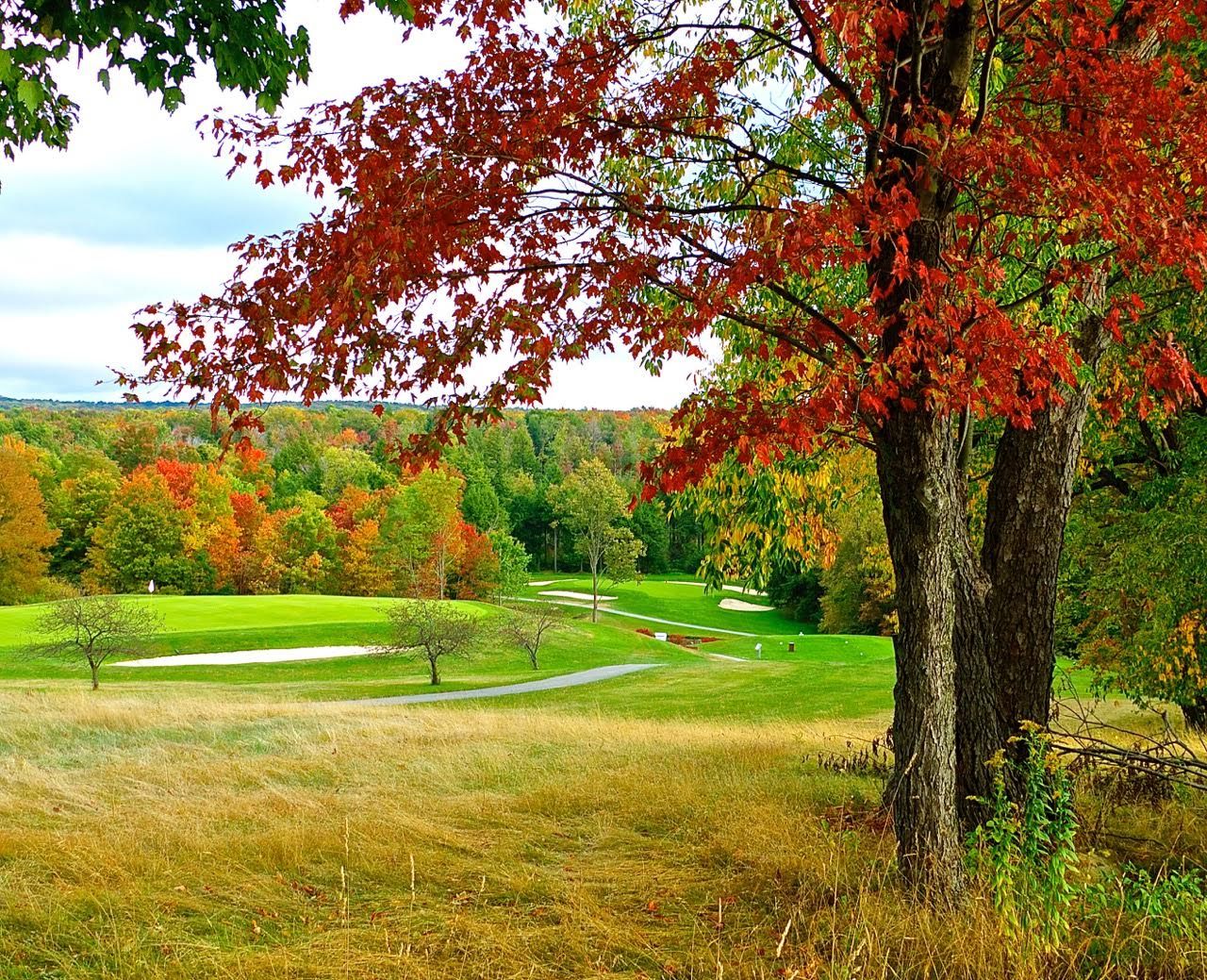 Windber Country Club in Salix, Pennsylvania, USA | GolfPass
