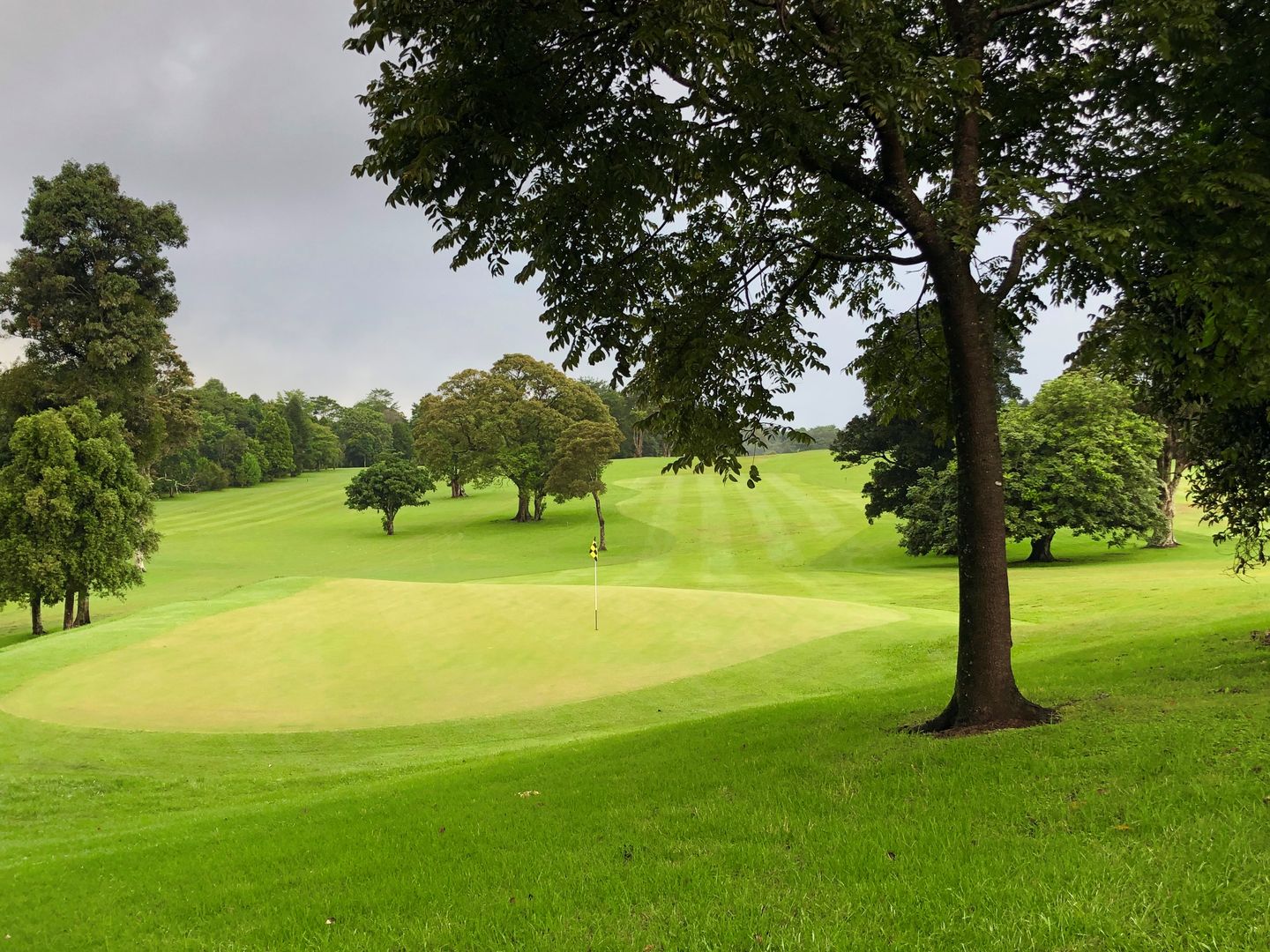 Maleny Golf Club in North Maleny, Fisher, Australia | GolfPass