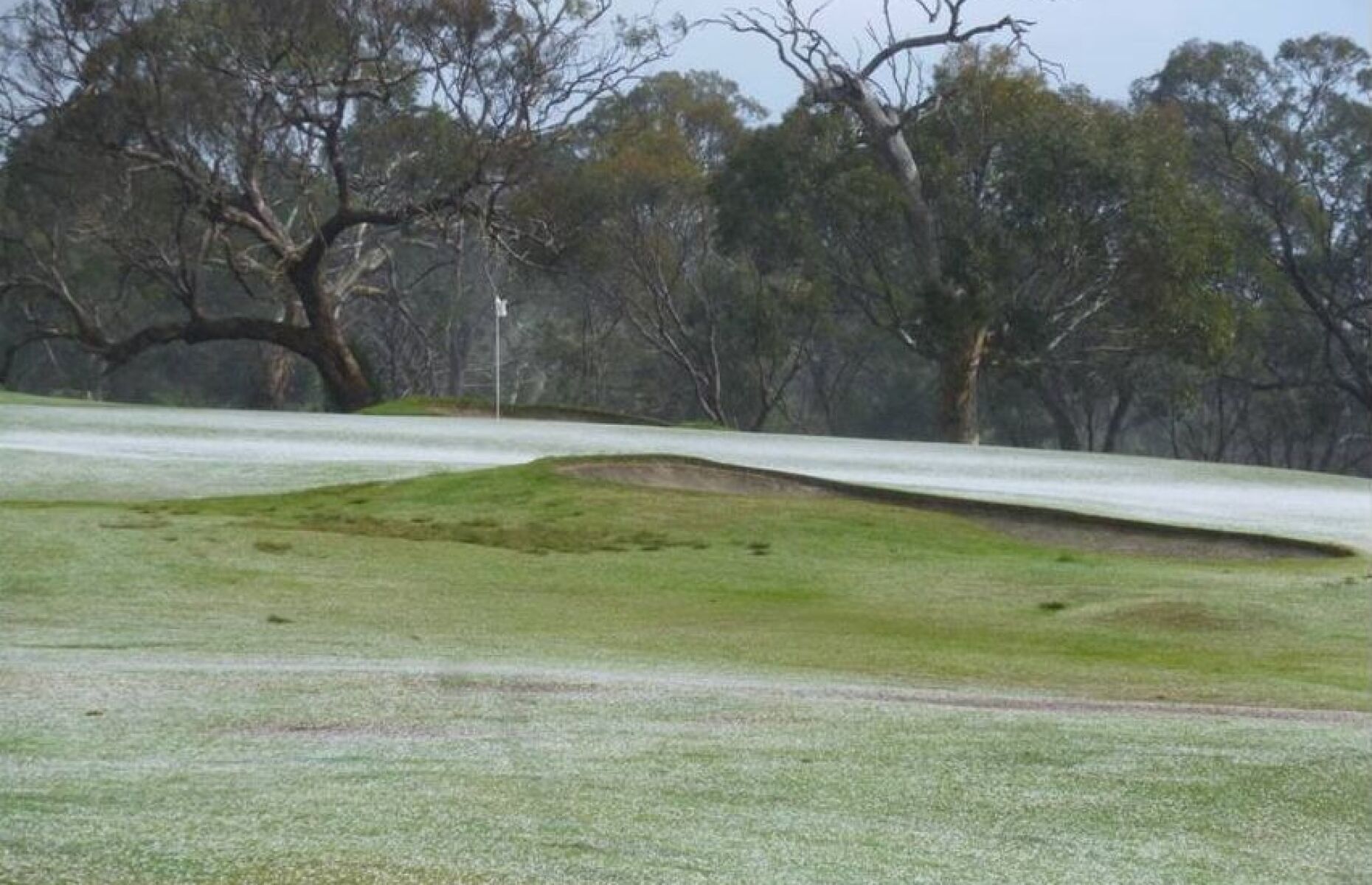 Tanunda Pines Golf Club in Rowland Flat, Wakefield, Australia | Golf ...