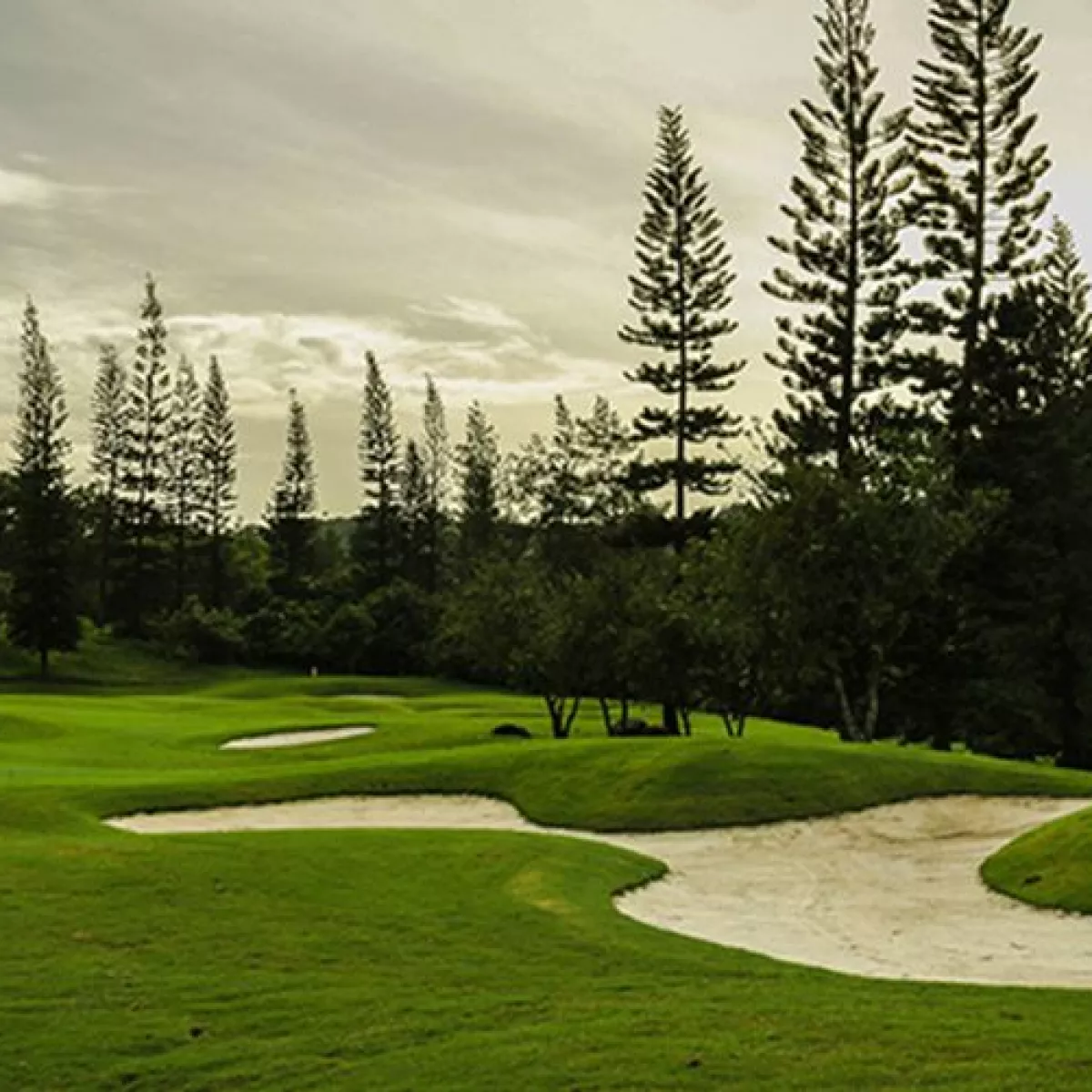 Rainbow Hills Golf Club - Forest Course in Cijayanti, Jawa Barat ...