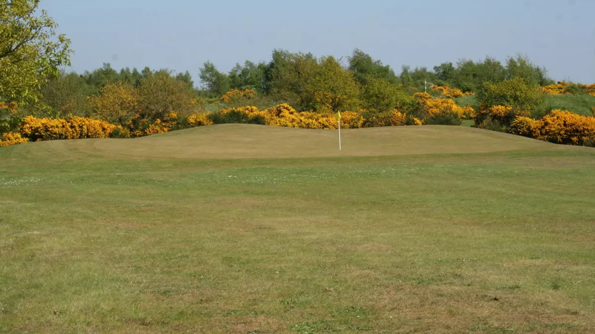 caddyshack golf centre mansfield