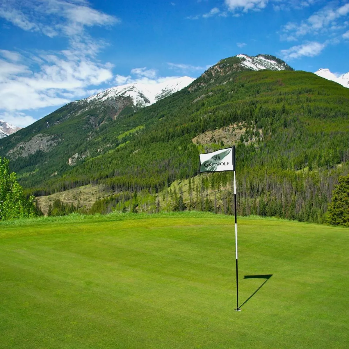 gray wolf golf course