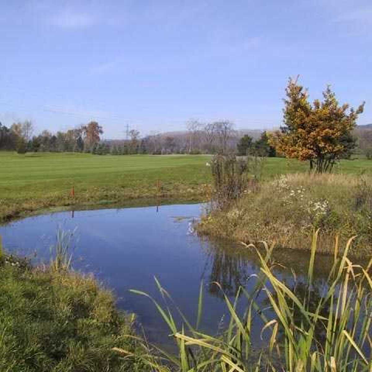 Stark Linz Golf Club - 3 Hole Course in Linz, Statutory city, Austria ...