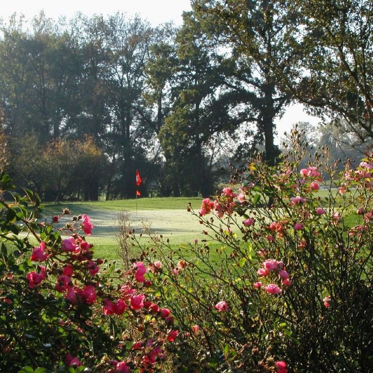Donau Freizeitland Linz Feldkirchen Golf Club - 18 Hole Course in ...