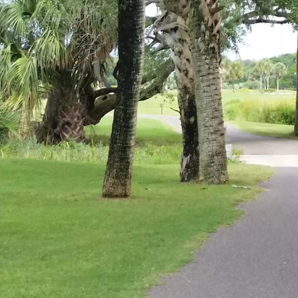 South Edisto Golf Club in Ridge Spring, South Carolina, USA | GolfPass
