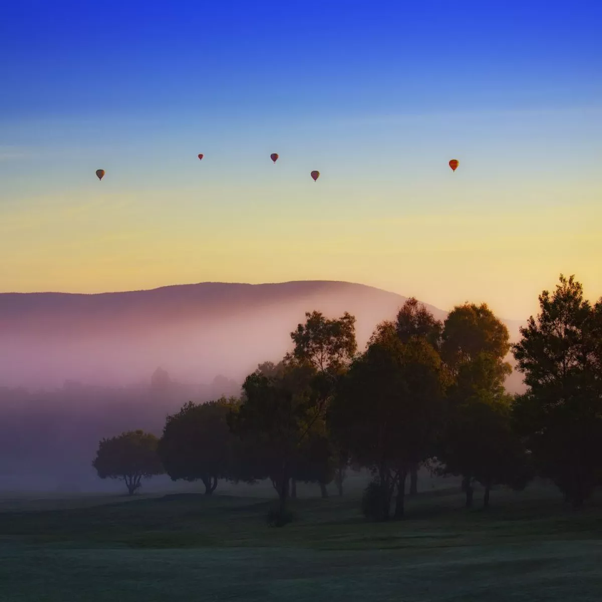 Yering Meadows Golf Club - Homestead Course in Yering, Yarra Valley ...