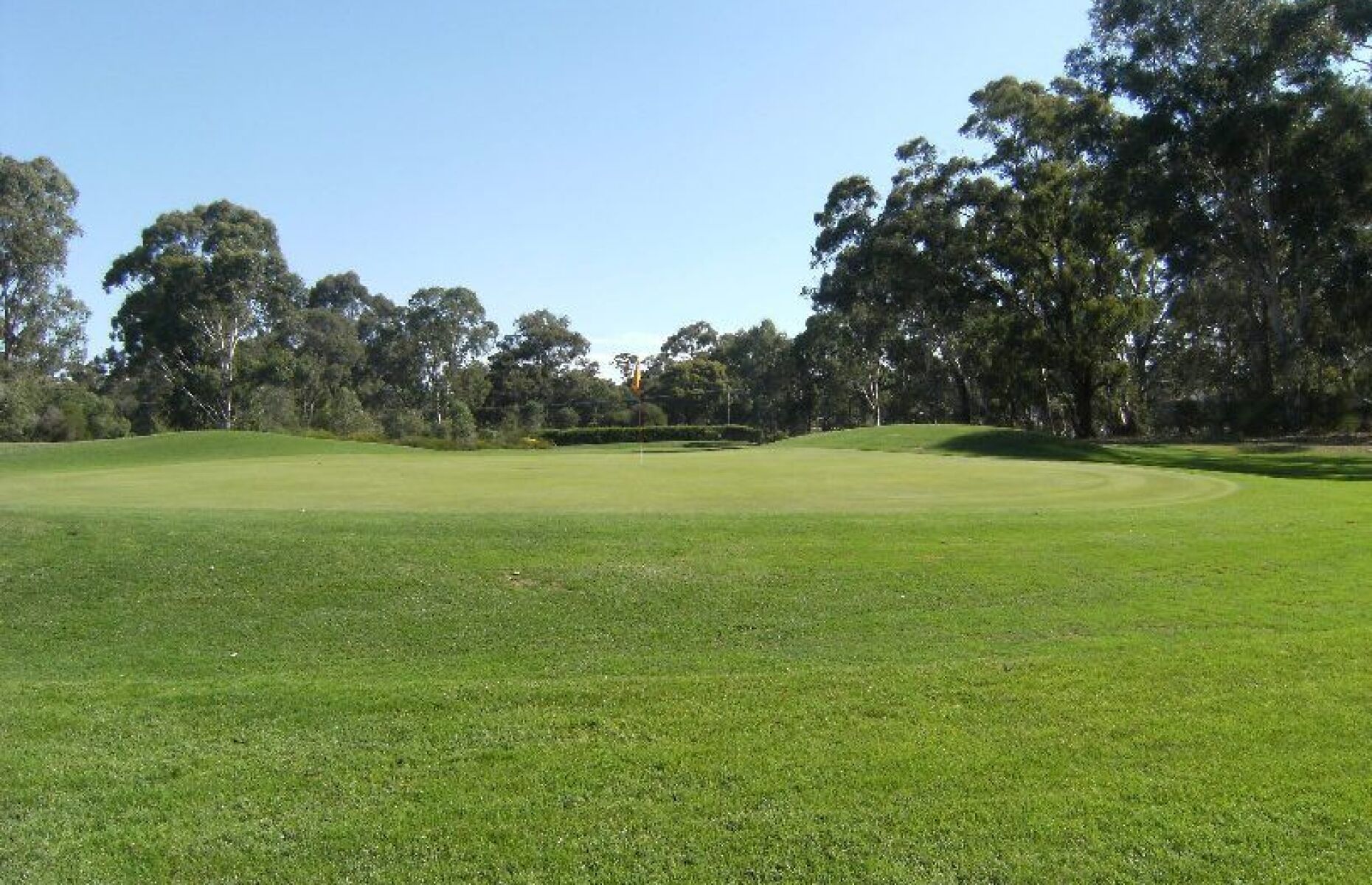 Bendigo Golf Club in Epsom, Goldfields, VIC, Australia | Golf Advisor