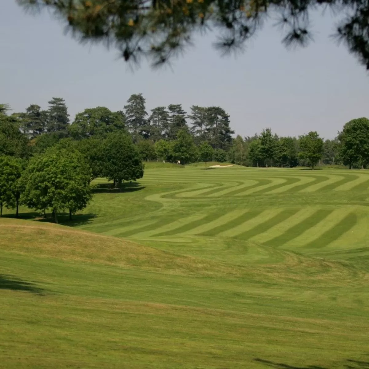 The Melbourne Golf Club at Brocket Hall - The Melbourne Course in ...