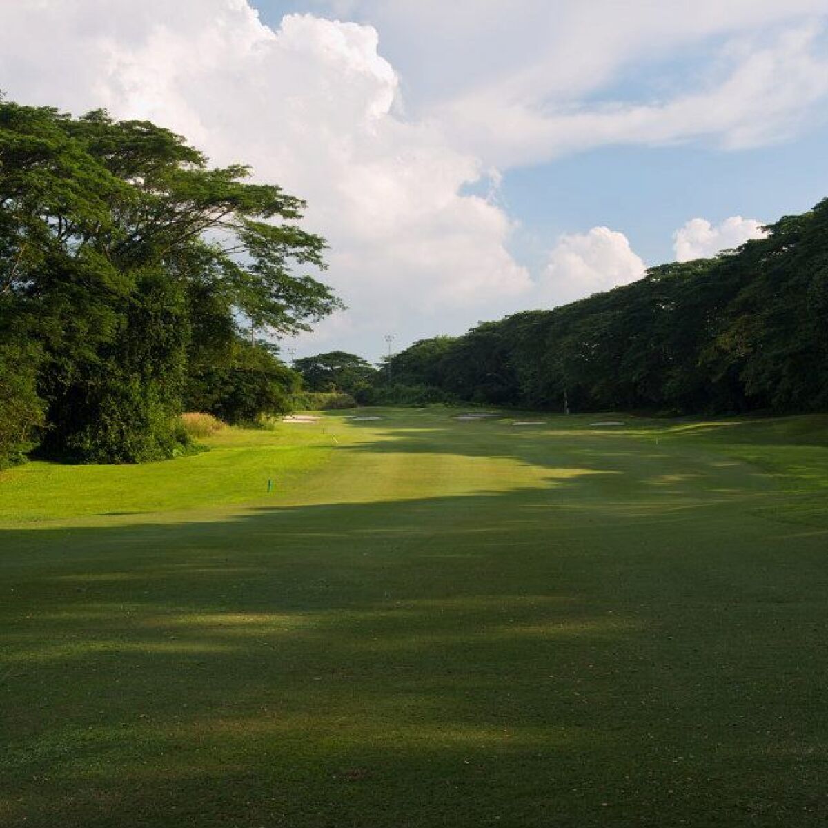 Clearwater Sanctuary Golf Resort - Raintree Nine Course in Batu Gajah ...