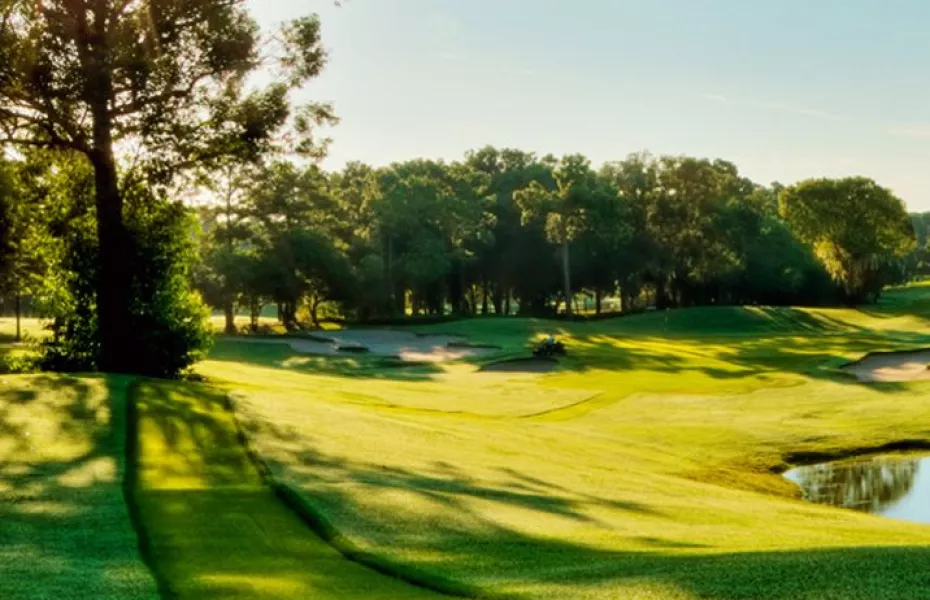 world cup squirrel course