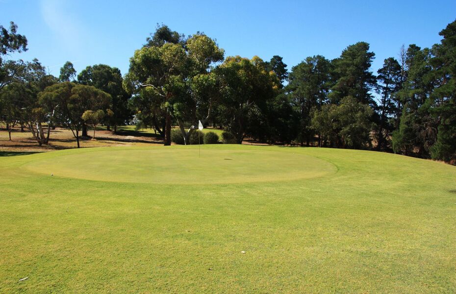 Keith Golf Club in Keith, Barker, Australia | Golf Advisor