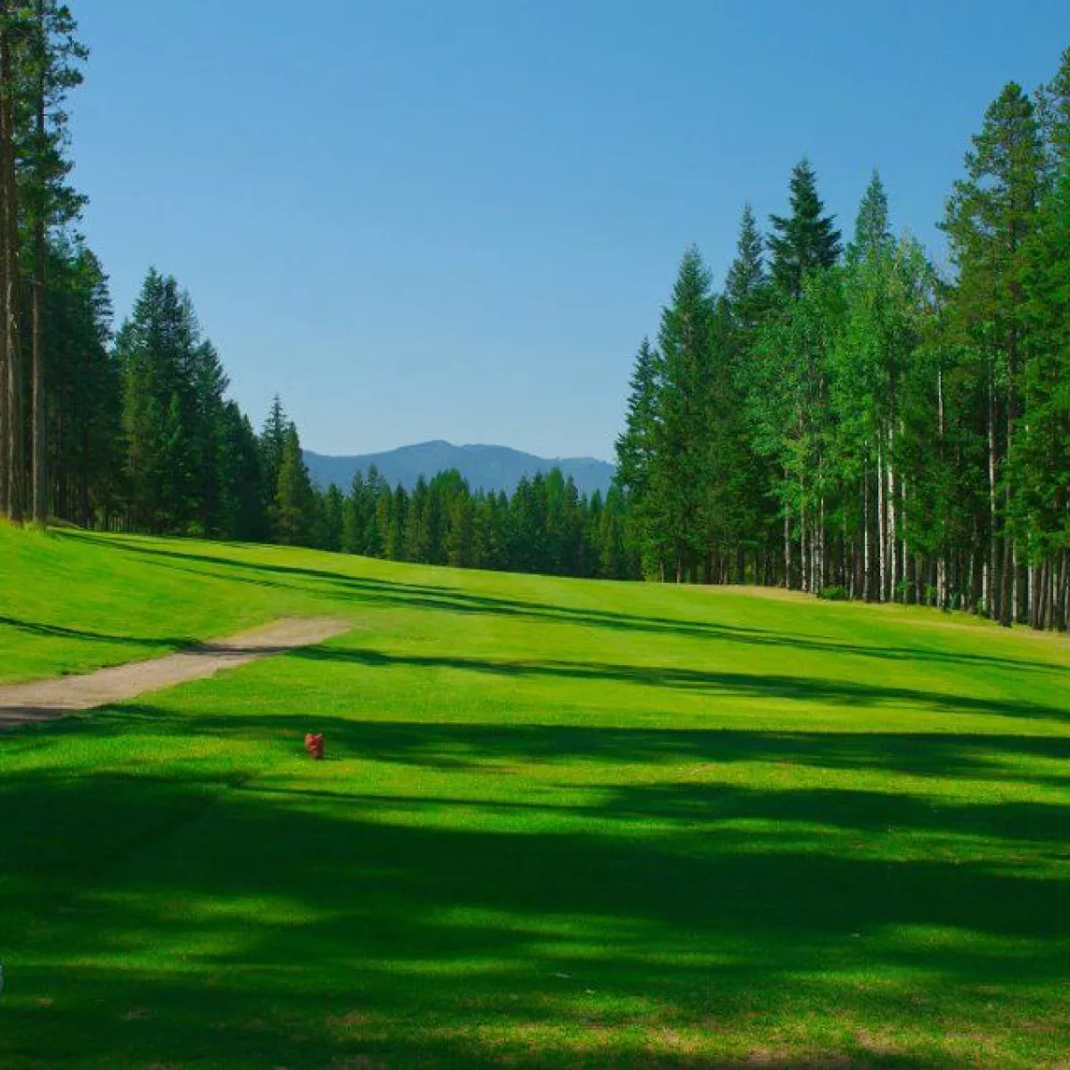 Sparwood Golf Club in Sparwood, British Columbia, Canada | GolfPass