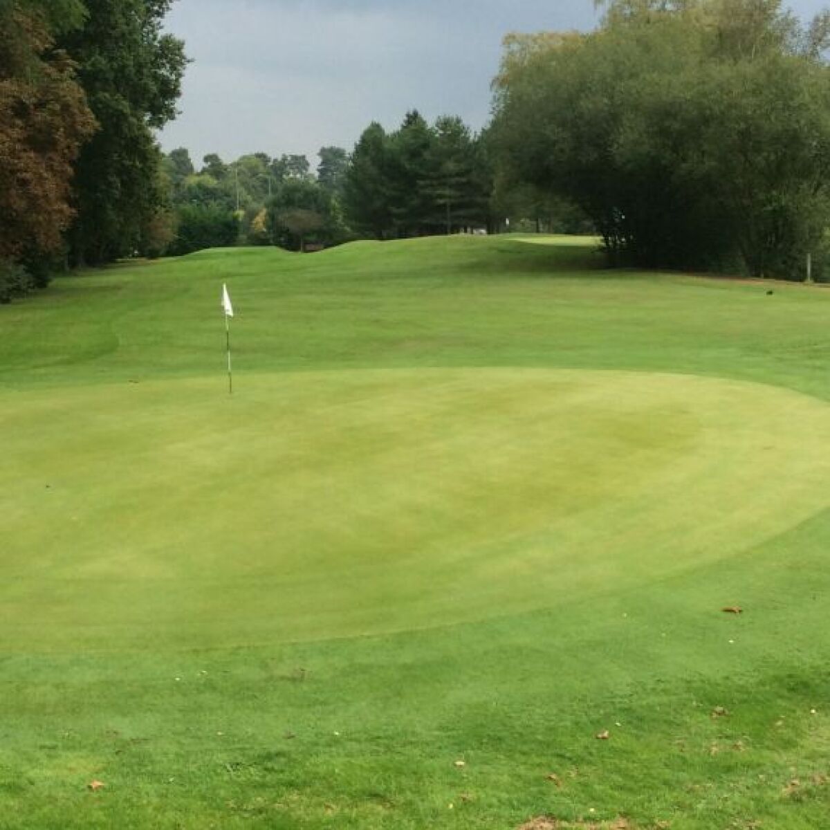 Effingham Park Golf Course in Copthorne, Mid Sussex, England | Golf Advisor