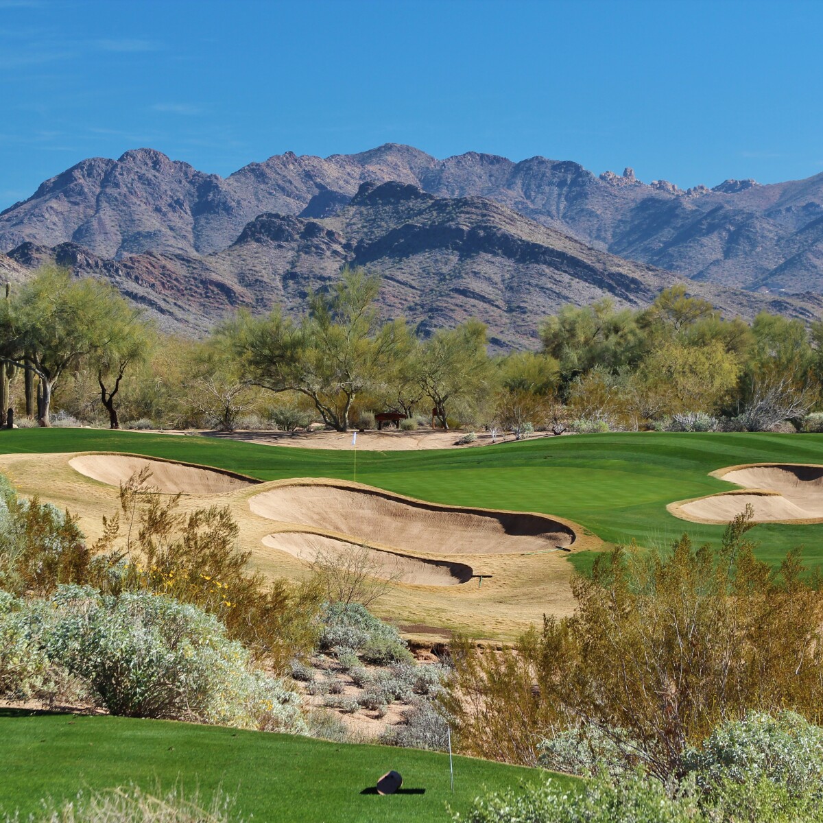 The verdict's still out on new-look Raptor Course at Grayhawk ...