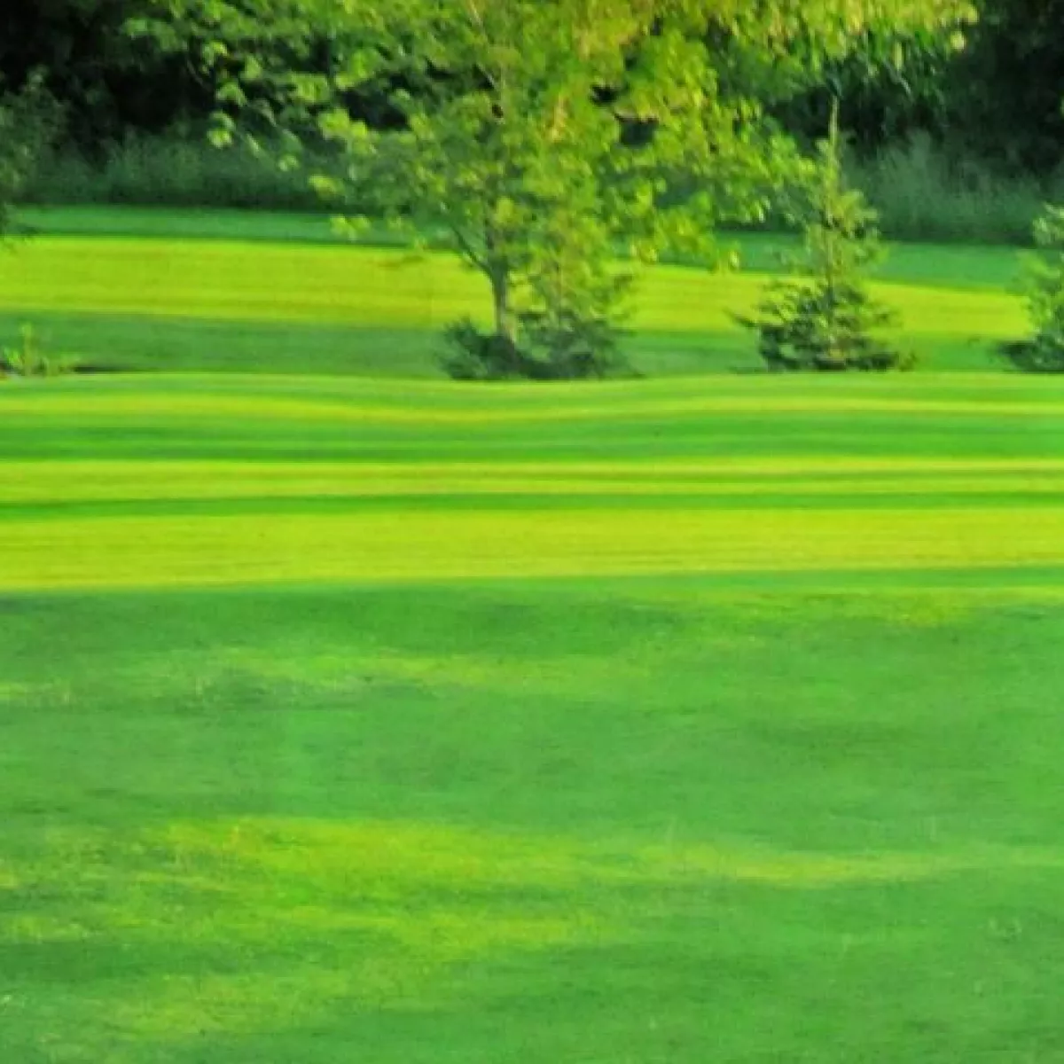 Mayfield Golf Club - Red in Caledon East, Ontario, Canada | GolfPass