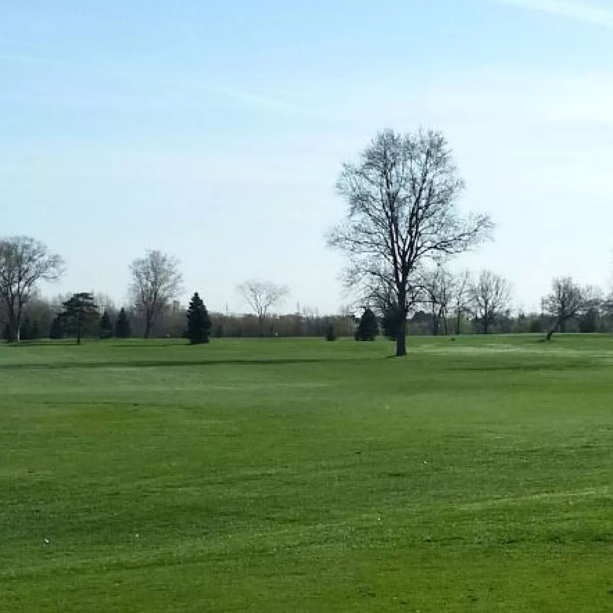 Orange at Sunnybrook Golf Course in Sterling Heights, Michigan, USA ...