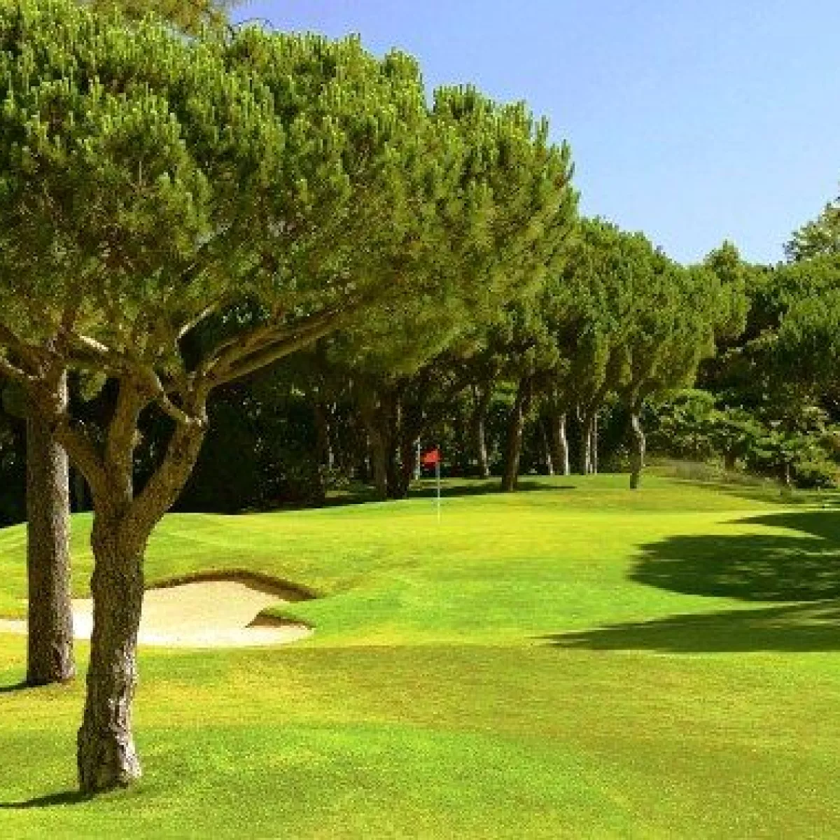 Pinheiros Altos Golf Resort - Pines Course in Almancil, Loulé, Portugal ...