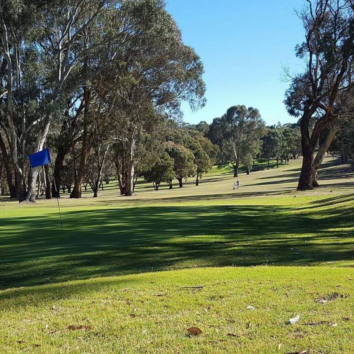 Blayney Golf Club in Blayney, Central NSW,NSW, Australia | GolfPass