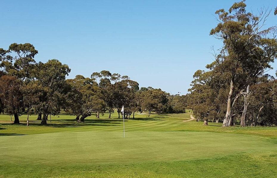 Tanunda Pines Golf Club in Rowland Flat, Wakefield, Australia | GolfPass