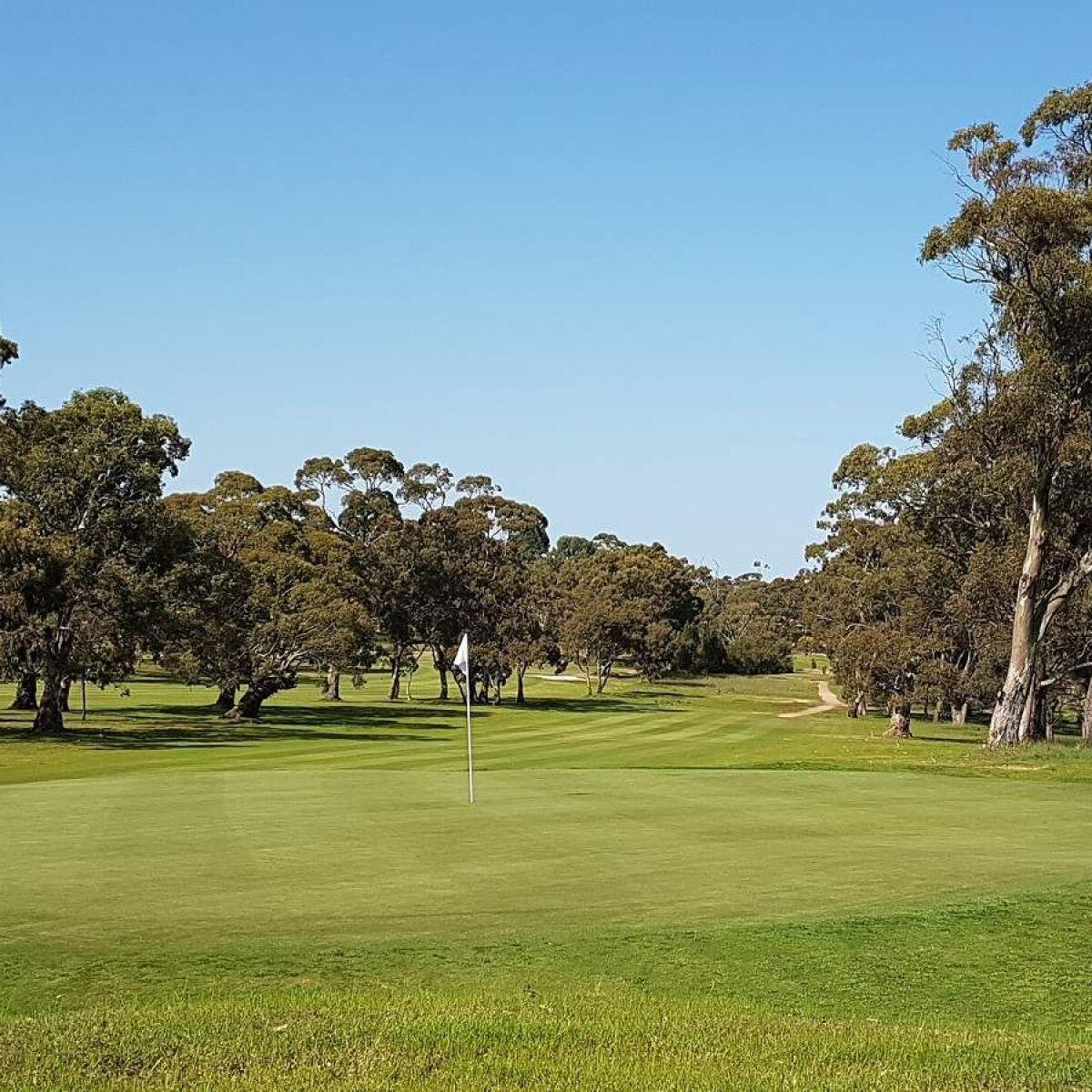 Tanunda Pines Golf Club in Rowland Flat, Wakefield, Australia | Golf ...