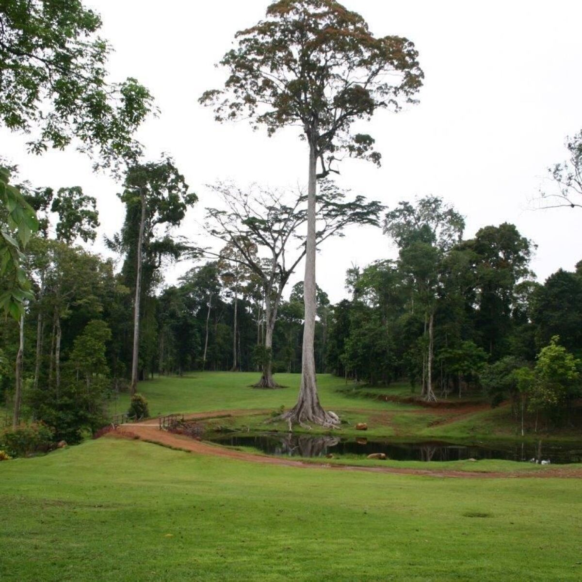 Kribi Golf & Country Club in Kribi, South, Cameroon | GolfPass