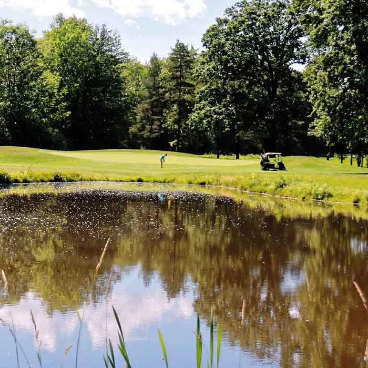 White/Blue at Town Of Colonie Golf Course in Schenectady, New York, USA ...