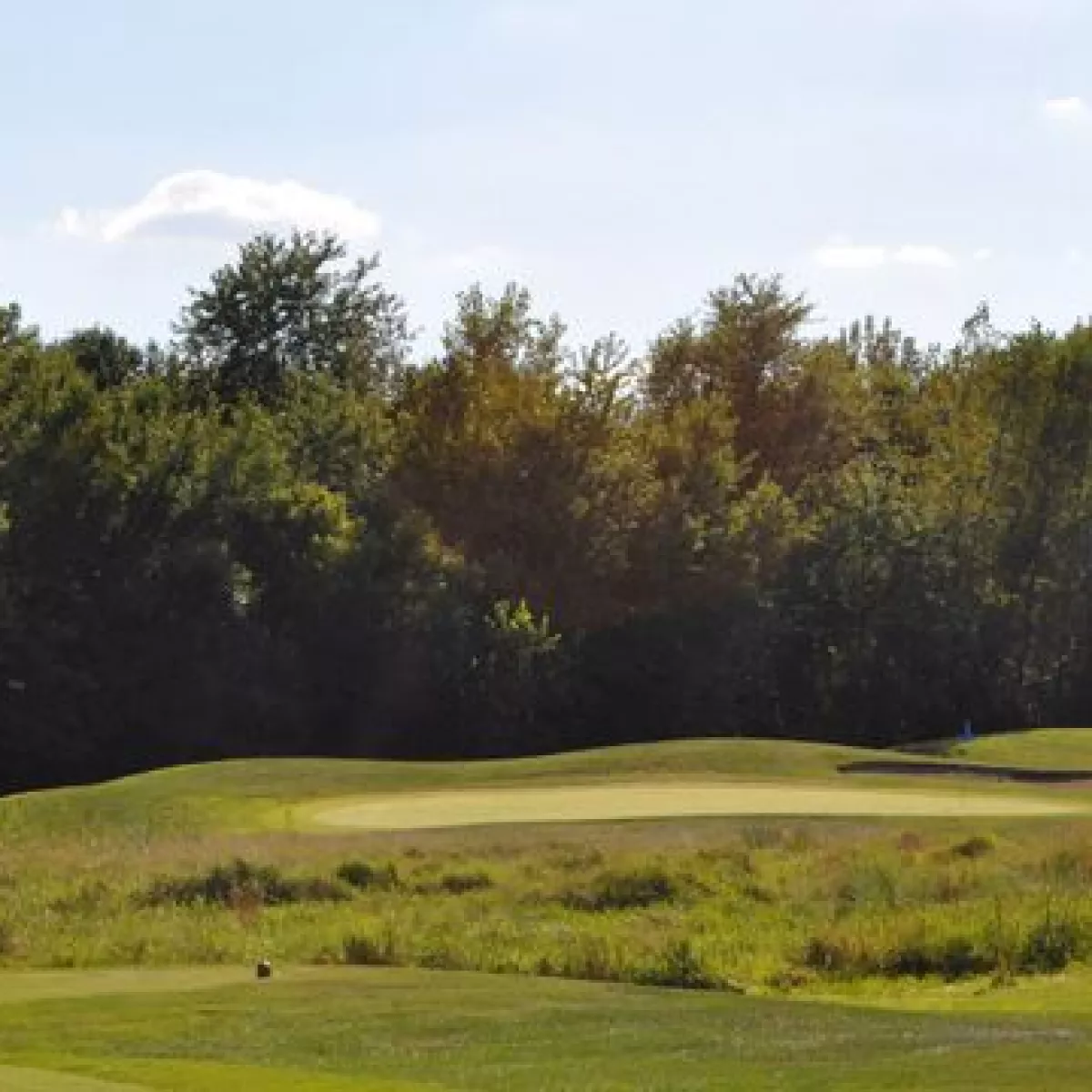 River Pointe Country Club - Red/Blue Course in Hobart, Indiana, USA ...