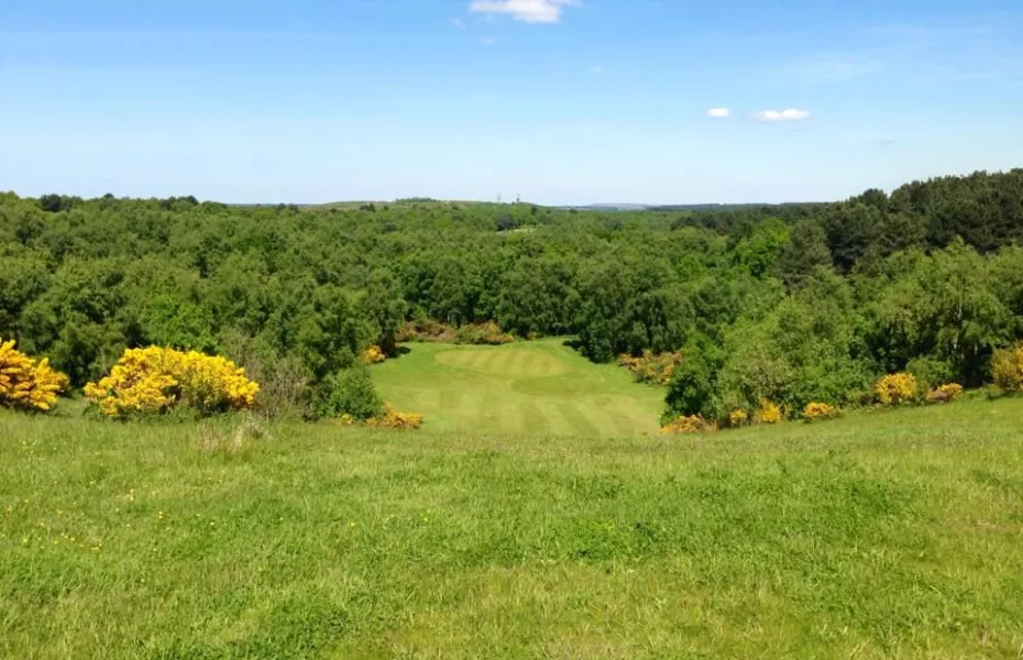 caddyshack mansfield