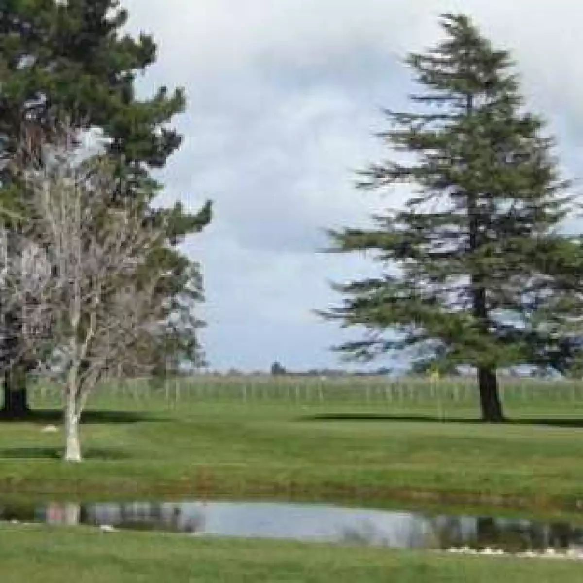 Carterton Golf Club in Carterton, Wellington, New Zealand | GolfPass