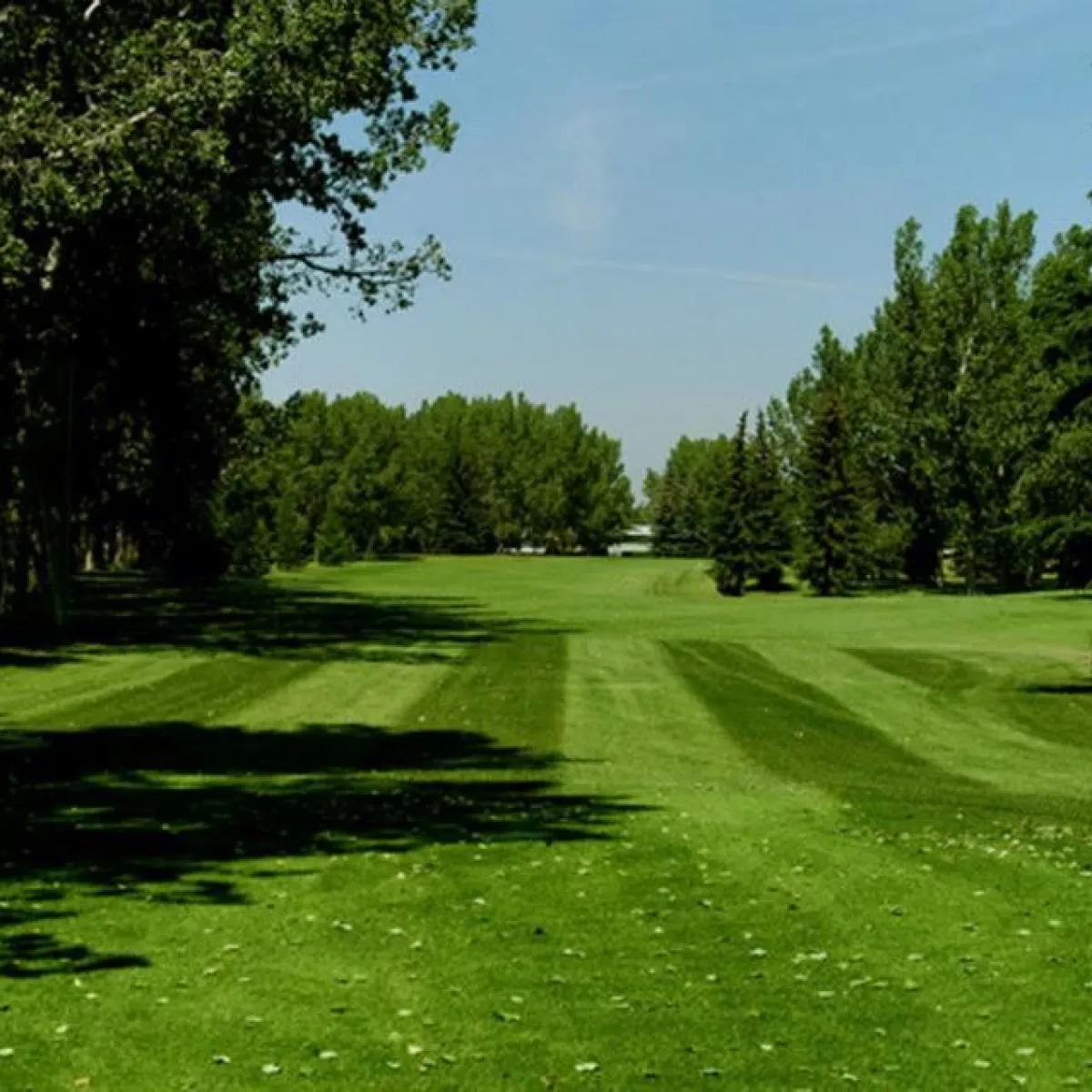 Maple Ridge Golf in Calgary, Alberta, Canada | GolfPass