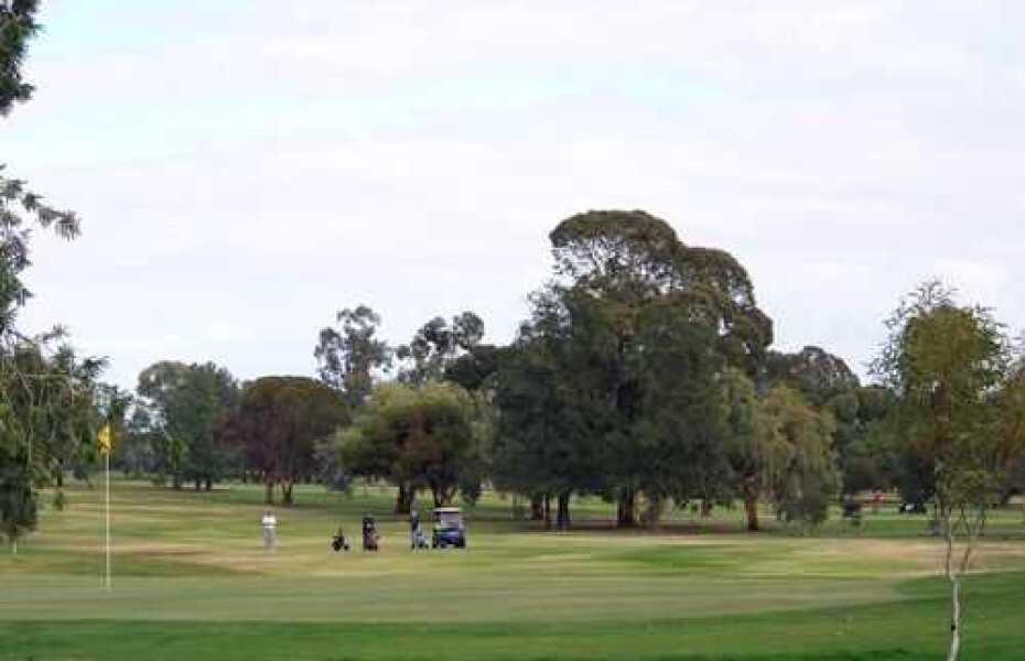 Waikerie GC