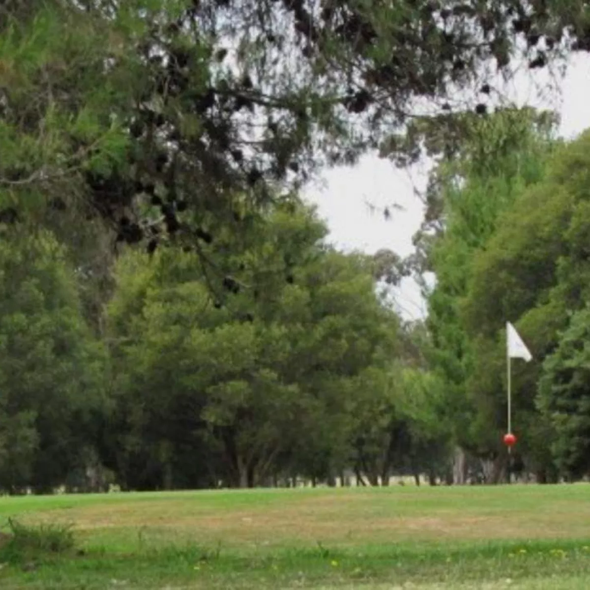 Kyabram Valley View Golf & Country Club in Kyabram, Goulburn Murray ...