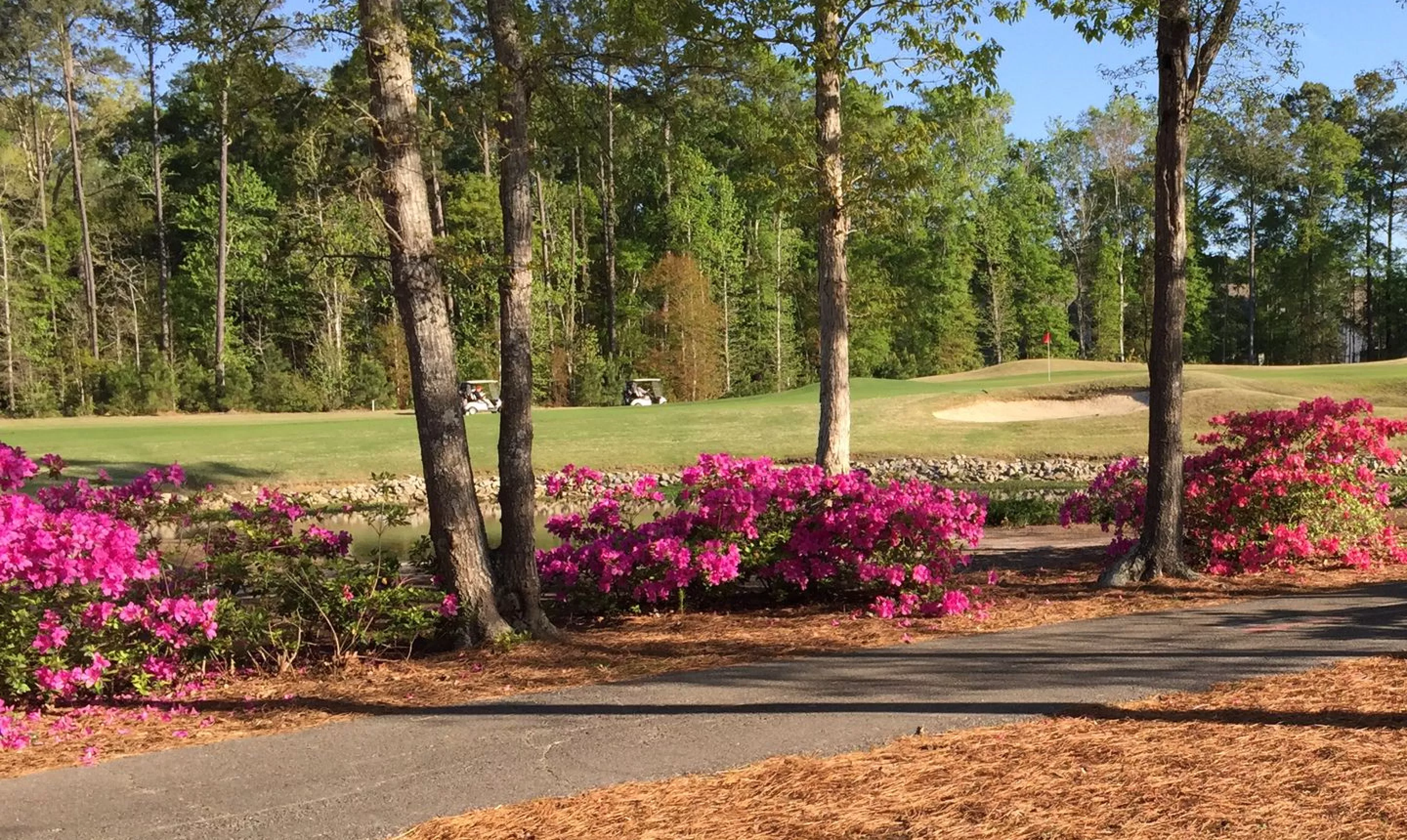 Long-tenured 27-hole course in Myrtle Beach set to close permanently ...