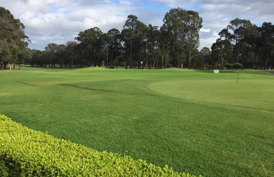 Bankstown Golf Club in Milperra, Sydney,NSW, Australia | GolfPass