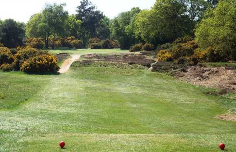 Woodbridge Golf Club - Forest Course in Woodbridge, Suffolk Coastal ...