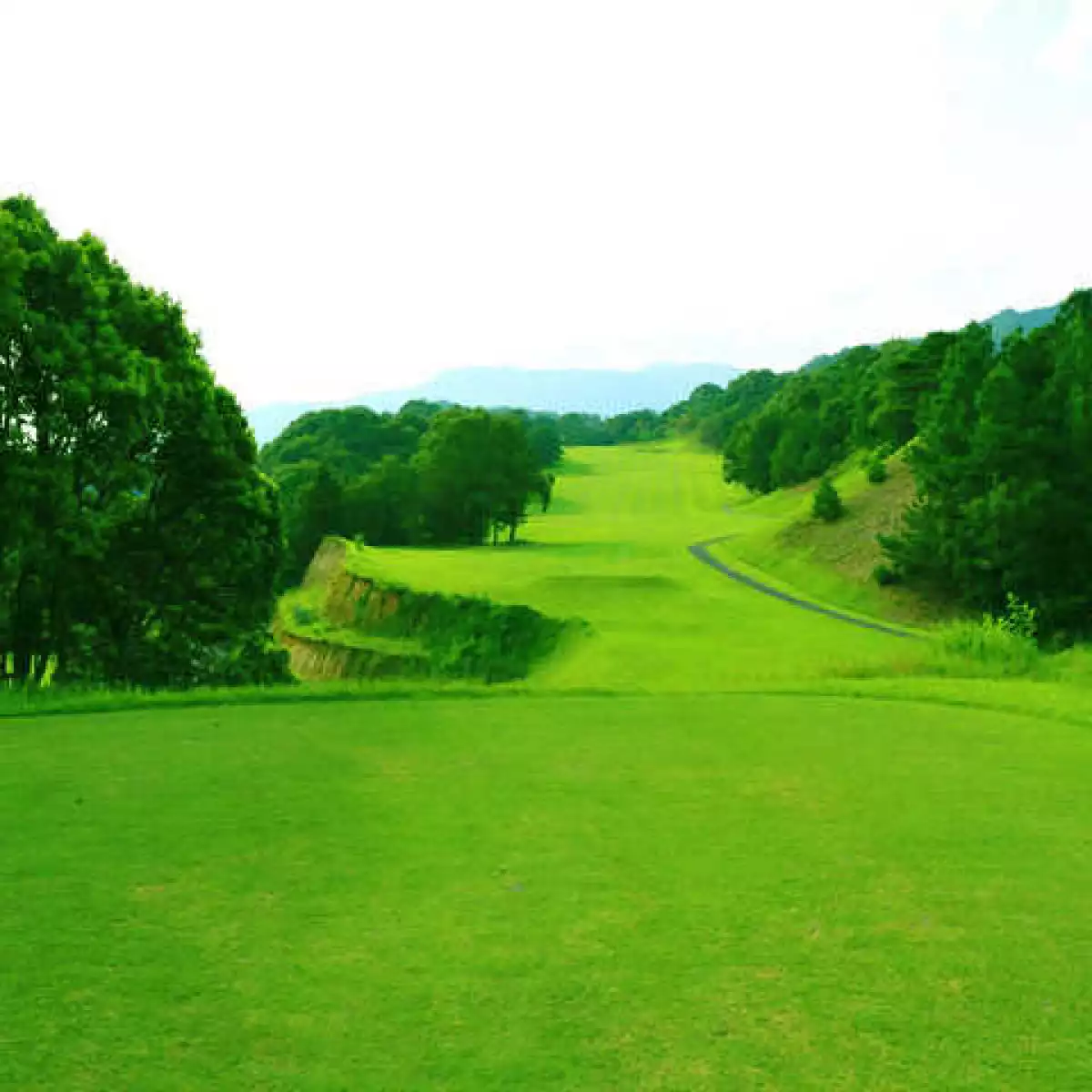 Takagawa Nishitokushima Golf Club in Awa, Tokushima, Japan | GolfPass