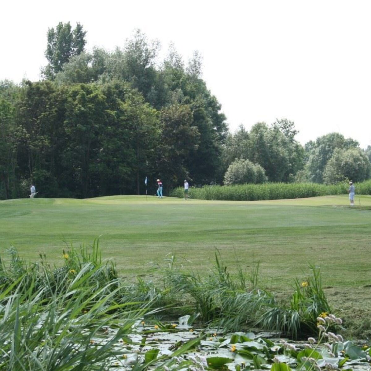 Zeegersloot Golf Club - 9-hole Course in Alphen aan den Rijn, South ...
