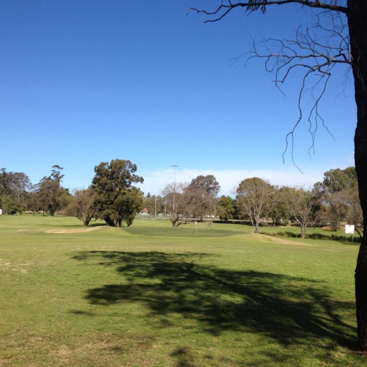 Singleton Golf Club in Singleton, Hunter Valley, Australia | GolfPass