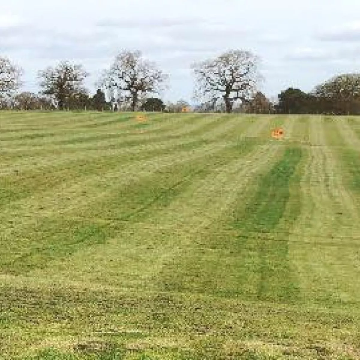 Plassey Golf Club - Par-3 Course in Eyton, Wrexham, Wales | GolfPass