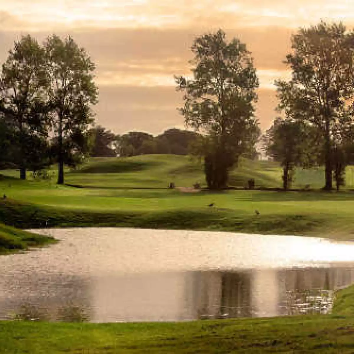 Turvey Golf and Country Club in Donabate, County Dublin, Ireland | GolfPass