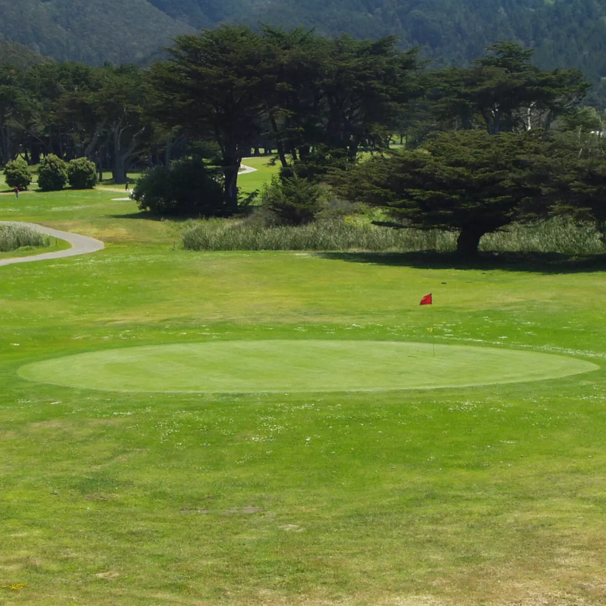 Vote likely ends the long political fight over the future of Alister ...