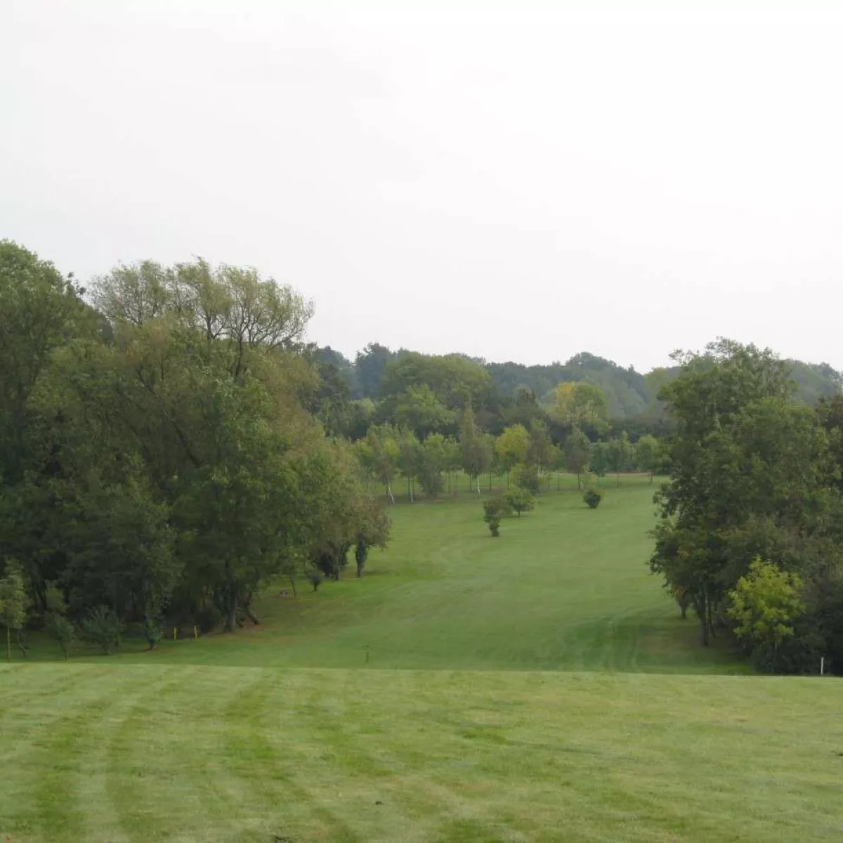 Gaudet Luce Golf Club - Phoenix Course in Hadzor, Wychavon, England ...