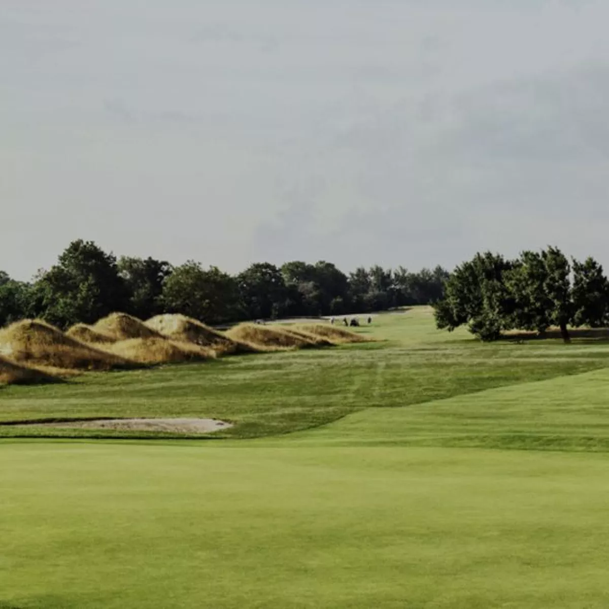 Reignwood Pine Valley Golf Club & Resort - Golden Bear Course in ...