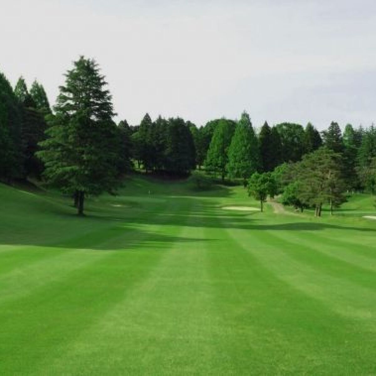 Murasakizuka Golf Club - Katsuragi/Saotome Course in Sakura, Tochigi ...