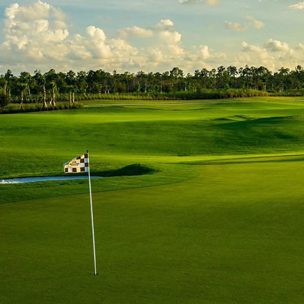 esplanade short form