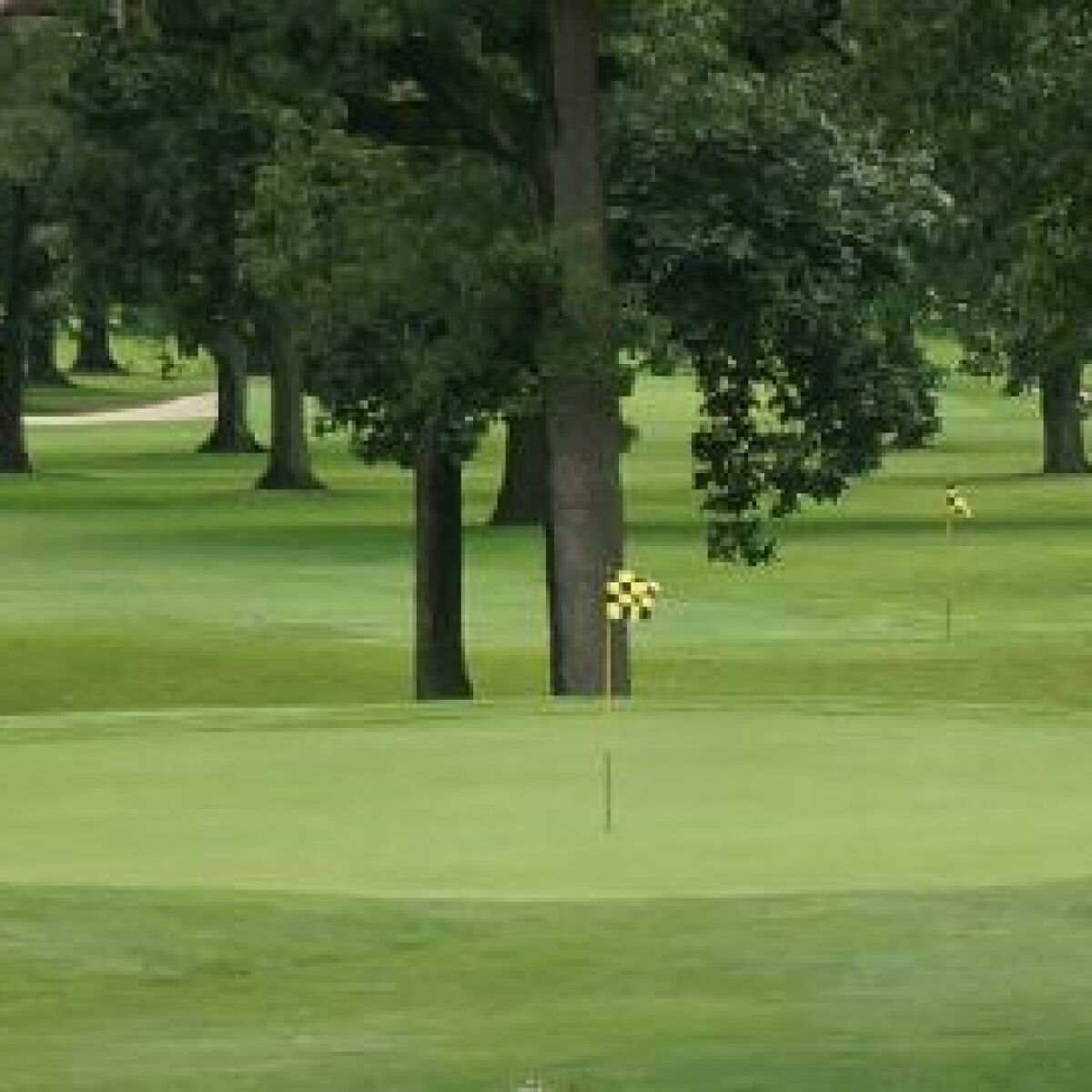 Shamrock Golf Club in Saint Anne, Illinois, USA | GolfPass